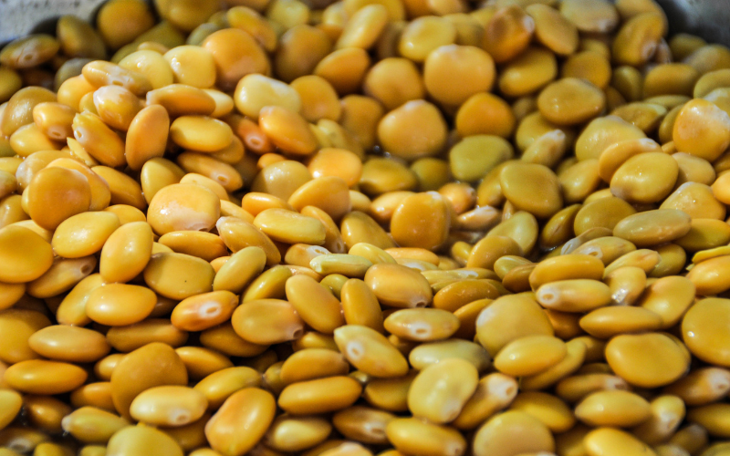 Lupin: A Versatile Ingredient for Food Manufacturers | St. Charles Trading